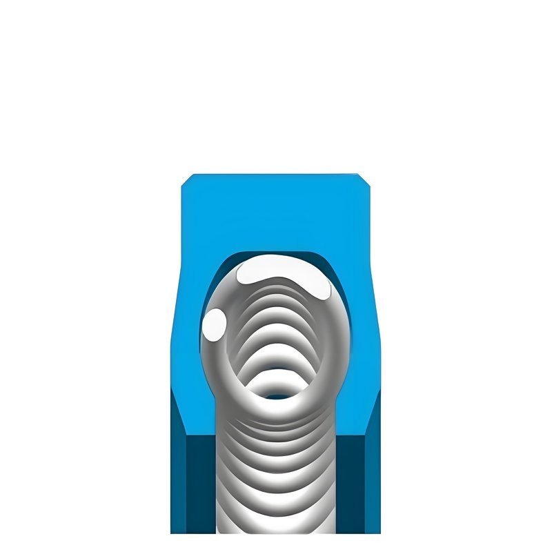 Spring Energized inside face seals