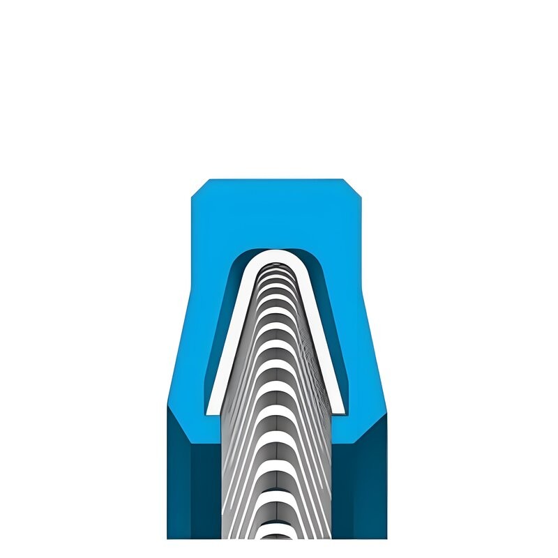 Spring Energized inside face seals