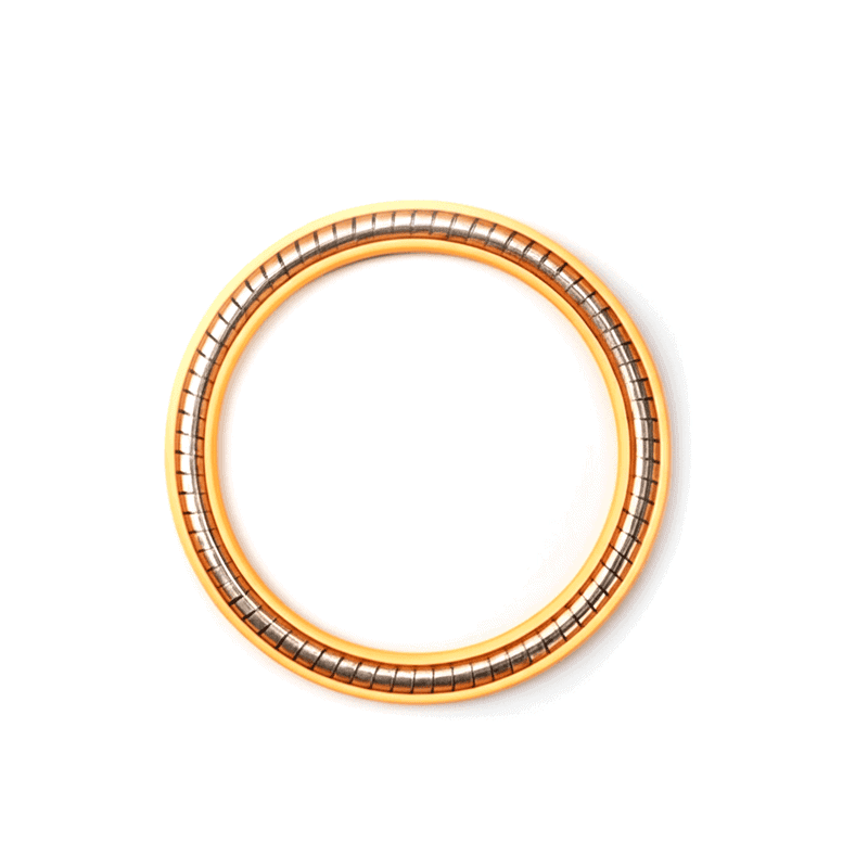 LNG Fueling Nozzle Spring Energized Seal Kit – Compatible with 50GPM ...